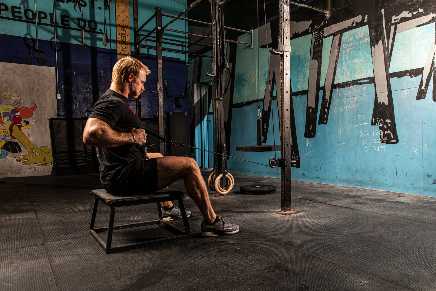 Gym Pulley System | Workout Pulley System | Bullet Pulley – BulletPulley